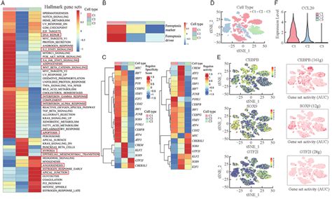 Gsva And Scenic Analysis Of Three Scna Patterns In The Smc Dataset A