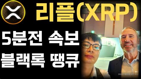 리플 5분전 속보 정말 어려운 시장속에 이건 햇빛입니다 블랙록과 Jp모건에서 나온 이야기 입니다 지금 바로 확인하세요 리플 심훈 Youtube