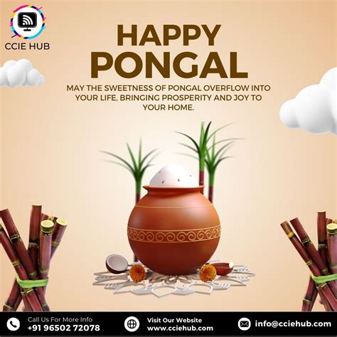 Ccie Ccnp Ccna Happypongal Pongalcelebration Harvestfestival… Ccie Hub