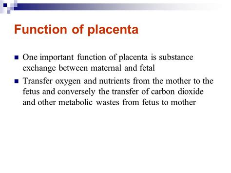 😍 Function Of Placenta Fetal Life 2019 02 16