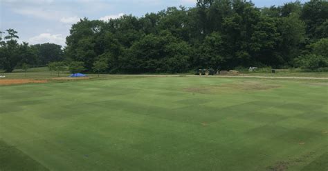 Ferrous Sulfate Suppressed Dollar Spot On Creeping Bentgrass Ragronomy