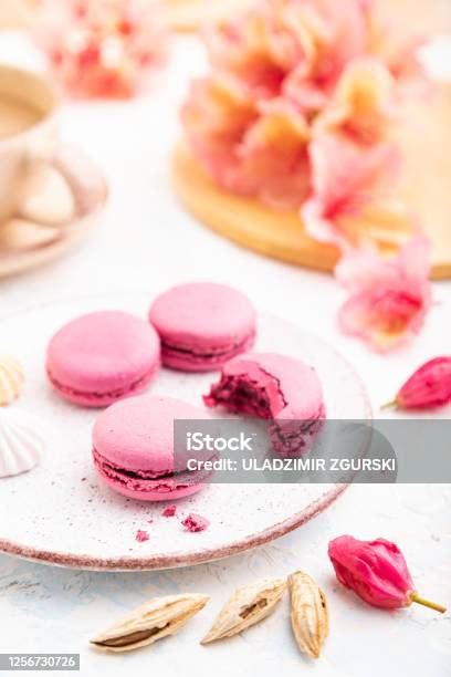 꽃으로 장식 된 흰색 콘크리트 배경에 커피 한 잔과 보라색 마카롱 또는 마카롱 케이크 측면 보기 클로즈업 선택적 초점 0명에 대한 스톡 사진 및 기타 이미지 Istock