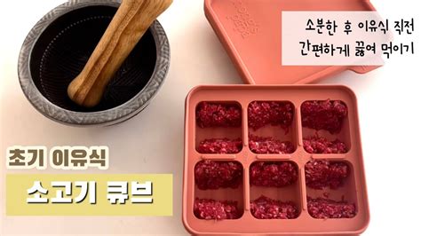 이유식 레시피 초기 이유식 소고기 큐브만들기 Youtube
