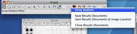 Protein Array Analyzer For Imagej Gilles Carpentier Research Web Site Computer Image Analysis