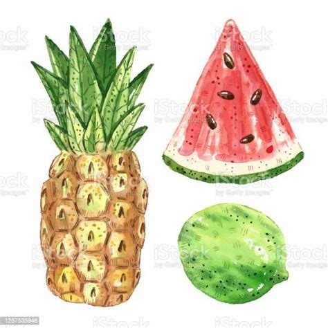 열대 과일 클립 아트 세트 파인애플 수박 라임 수채화 일러스트레이션 생 신선한 건강 식품 채식주의 자 채식주의자 여름 흰색 배경에 격리된 요소를 디자인합니다 개체 그룹에