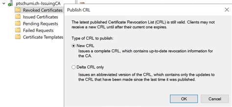Install Iis Web Server To Host Crl Distribution Point On Server Core Techblog Ptschumi Ch