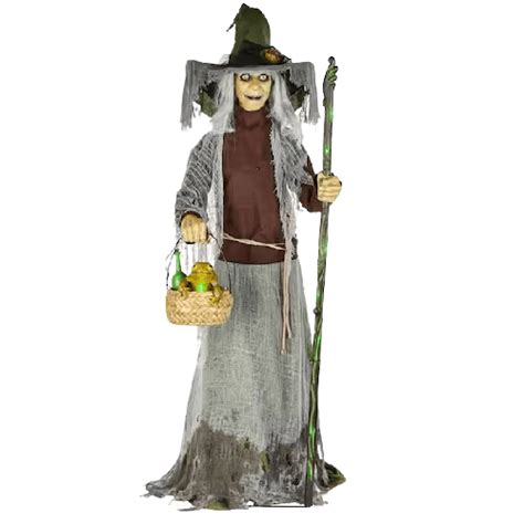 Lethal Lily The Witch Home Depot And Party City Halloween Wiki Fandom