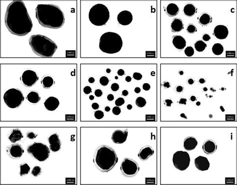 Effect Of Initial Glucose Concentration And Inoculation Rate On Fungal Download Scientific