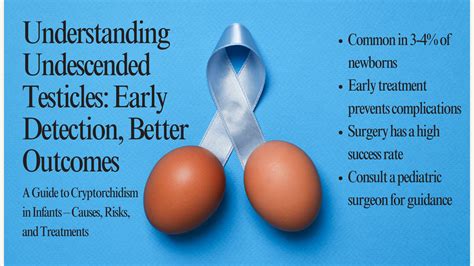 Overview On Undescended Testicles A Condition More Common In Newborns Than You Might Expect