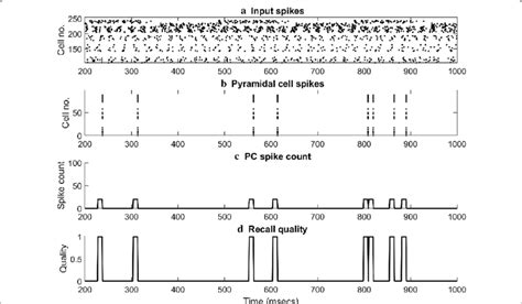 A Raster Plot Showing Septal Top 20 And Ca3 Input Bottom 100 Download Scientific Diagram
