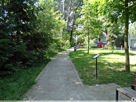 Ścieżka spacerowa Wrocław zdjęcia