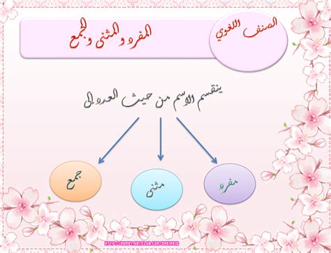 درس المفرد والمثنى والجمع الصف الثاني مادة اللغة العربية بوربوينت