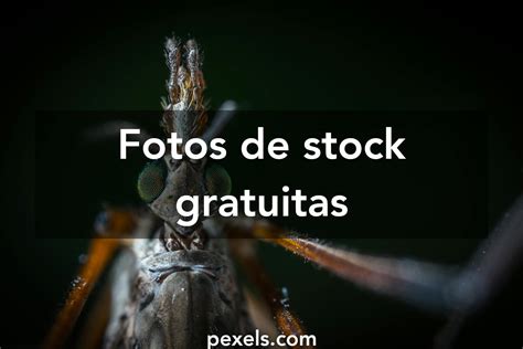 31491 Fotos Y Imágenes De Salesforce Vector Images Gratis · Banco De