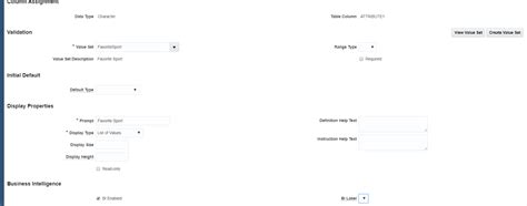 how to configure dff field and publish it to bi otbi in fusion