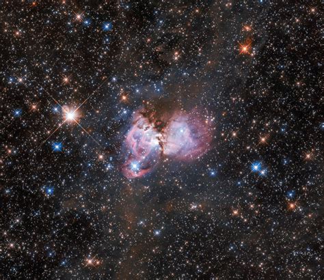 On The Origin Of Massive Stars Science Bulletin