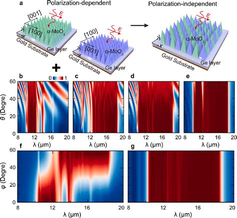 Schematic And Performance Of 2d Square Pyramidal Array A Diagram