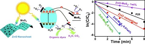 A Highly Efficient Sunlight Driven Zno Nanosheet Photocatalyst