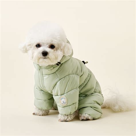 울리 몽셸 올인원 강아지 패딩 겨울 옷 위시버킷