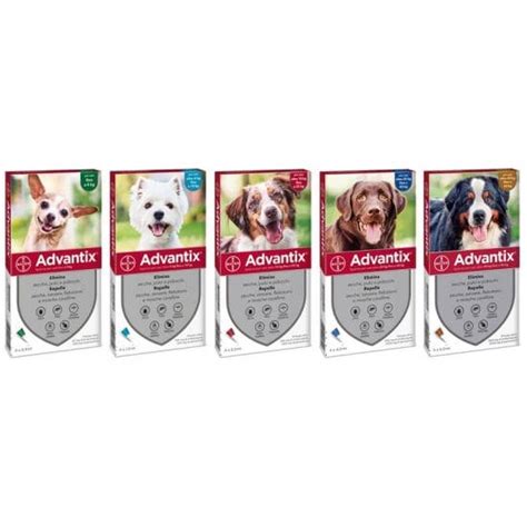 Bayer Advantix (Адвантикс) от блох и клещей для собак, 1пипетка купить ...