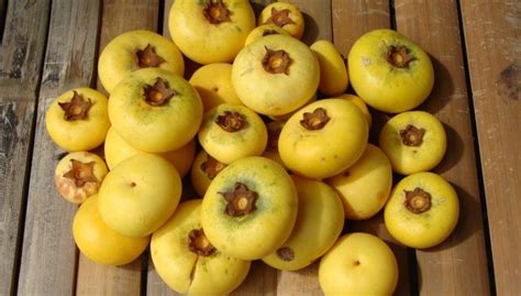 ដឹងអត់ថាផ្លែឈើ ៦មុខនេះបើអ្នកទទួលទានលើសកំណត់ មានកាឡូរីខ្ពស់ស្មើបាយ ១ ចាន Khmer Breaking News