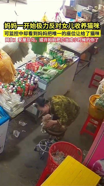 媽媽一開始極力反對女兒收養貓咪，結果女兒在監控中看到媽媽把唯一的座位讓給了貓咪並不斷愛撫它！網友：愛屋及烏，或許媽媽把它當成了小時候的你