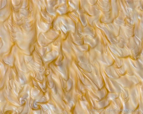Fluid Dynamics Vii Alexander S Kunz Photography