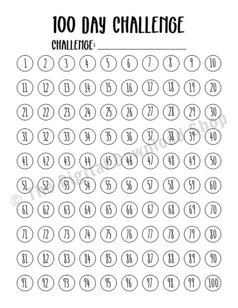 What Is The 100 Day Challenge