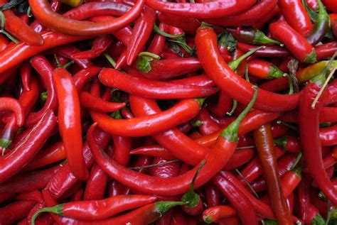 Chili Pepper Uses And Health Benefits