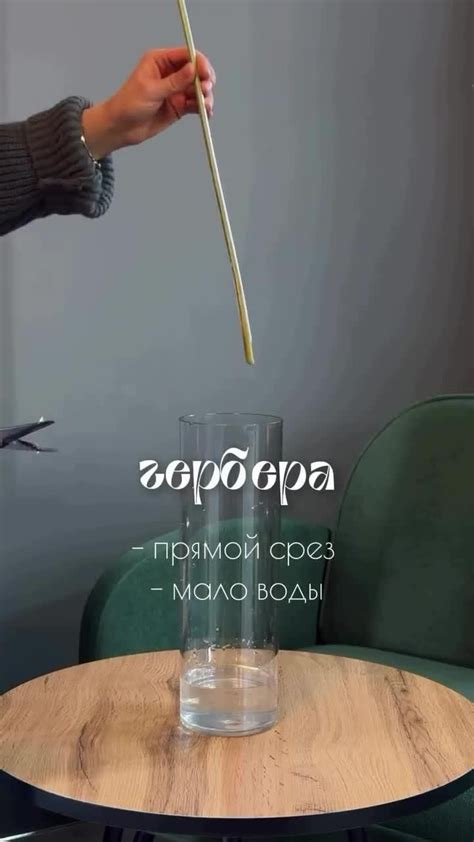 [Видео] «👍Как обрезать подаренные цветы чтобы они дольше стояли в 2025 г Стенды растений