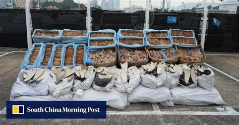 World Hong Kong Customs Seizes Suspected Smuggled Goods Worth Hk4