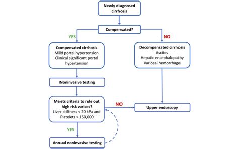 Target Population And The Role Of Noninvasive Testing In Variceal