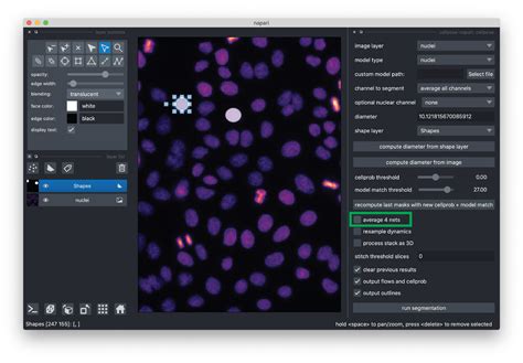 Notebook Segmenting Nuclei With The Cellpose Napari Plugin Napari