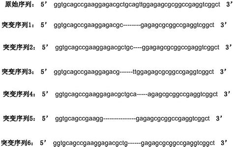 Modification Method Of Mammal Genome Eureka Patsnap