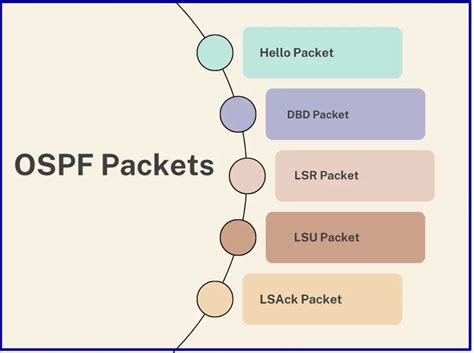 OSPF Interview Questions Answer Part OSPF Packet Types States