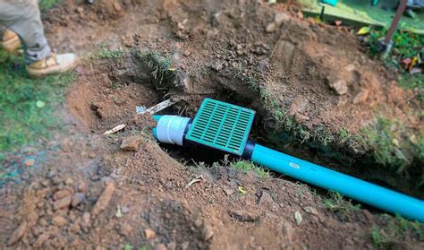 Catch Basins Explained By Professionals Hydroscapes