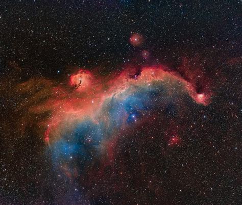 Seagull Nebula Astrobin