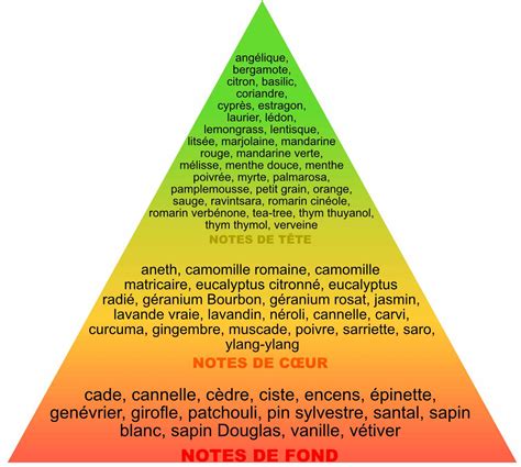 Huiles Essentielles Et Parfum