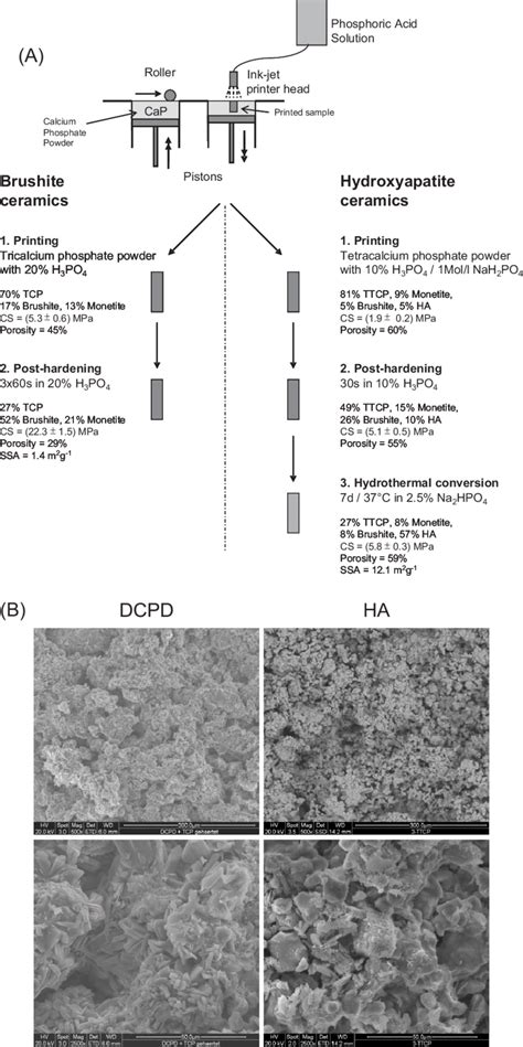 A A Schematic Diagram Illustrating The Processing Routes Of 3d Printed Download Scientific
