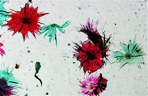 Micro Graph Background Images Hd Pictures And Wallpaper For Free Download Pngtree