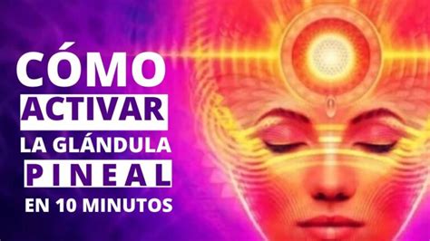 Descubre Cómo Activar La Glándula Pineal En Solo 10 Minutos Una Guía