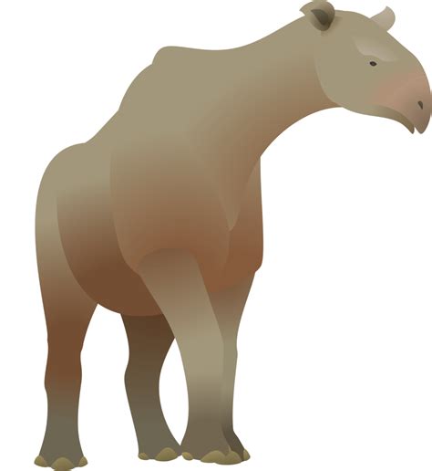 Paraceratherium Prehistoric World Deviantart Prehistoric