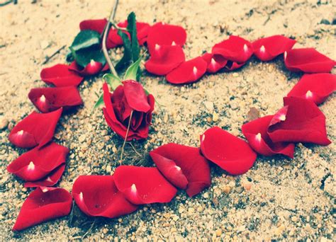 Cute Love Wallpapers For Facebook Timeline