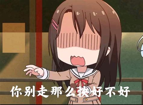 Acgn Memelib