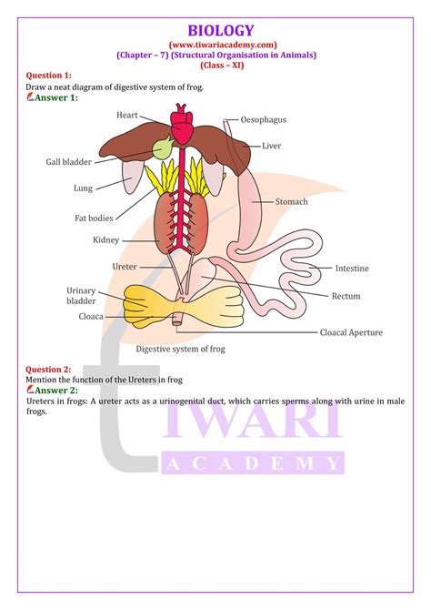 NCERT Solutions For Class Biology Chapter Structural Organisation