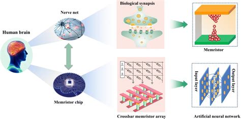 Memristor Based Neural Networks A Bridge From Device To Artificial