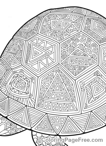 Turtle Coloring Page Turtle Shell Pattern