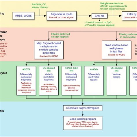 Comparison Of Analysis Features Of Dmap Methylkit Biseq And Saap Rrbs Download Table