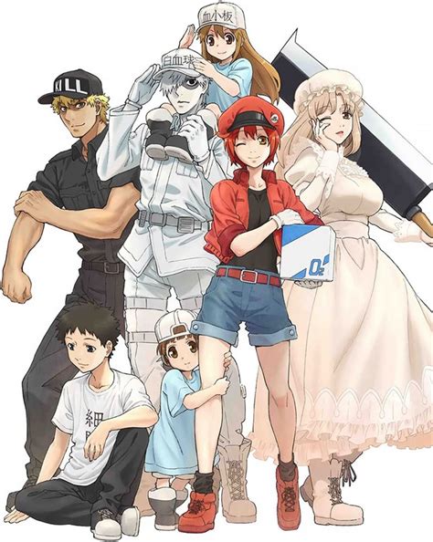 はたらく細胞 Blu Ray Disc Box【完全生産限定版】アニプレックスの通販・購入はメロンブックス メロンブックス