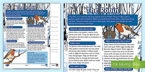 The Robin Reading Comprehension 3rd And 4th Class Twinkl