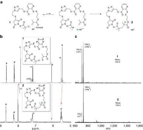 A Strategy For Sequence Control In Vinyl Polymers Via Iterative Controlled Radical Cyclization